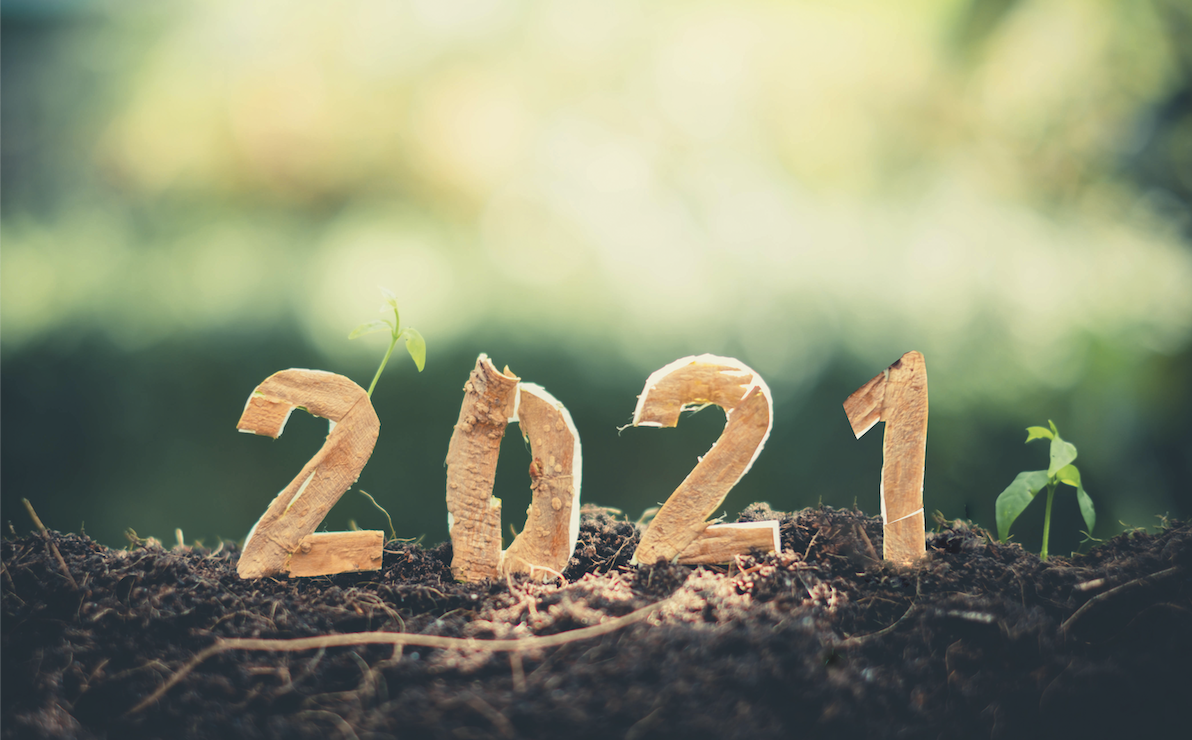 ESG - not just a Gen Z and Millennial thing - Professional Paraplanner