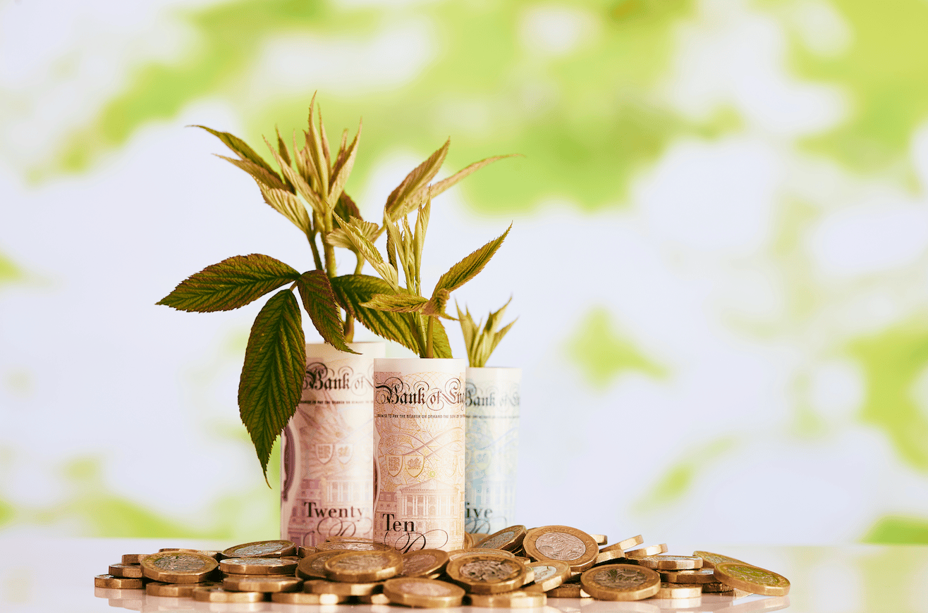 CISI welcomes Govt’s updated Green Finance Strategy - Professional ...