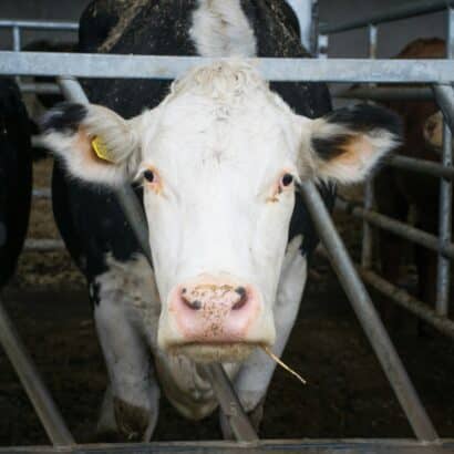 Taxation of Bare Trusts - Professional Paraplanner